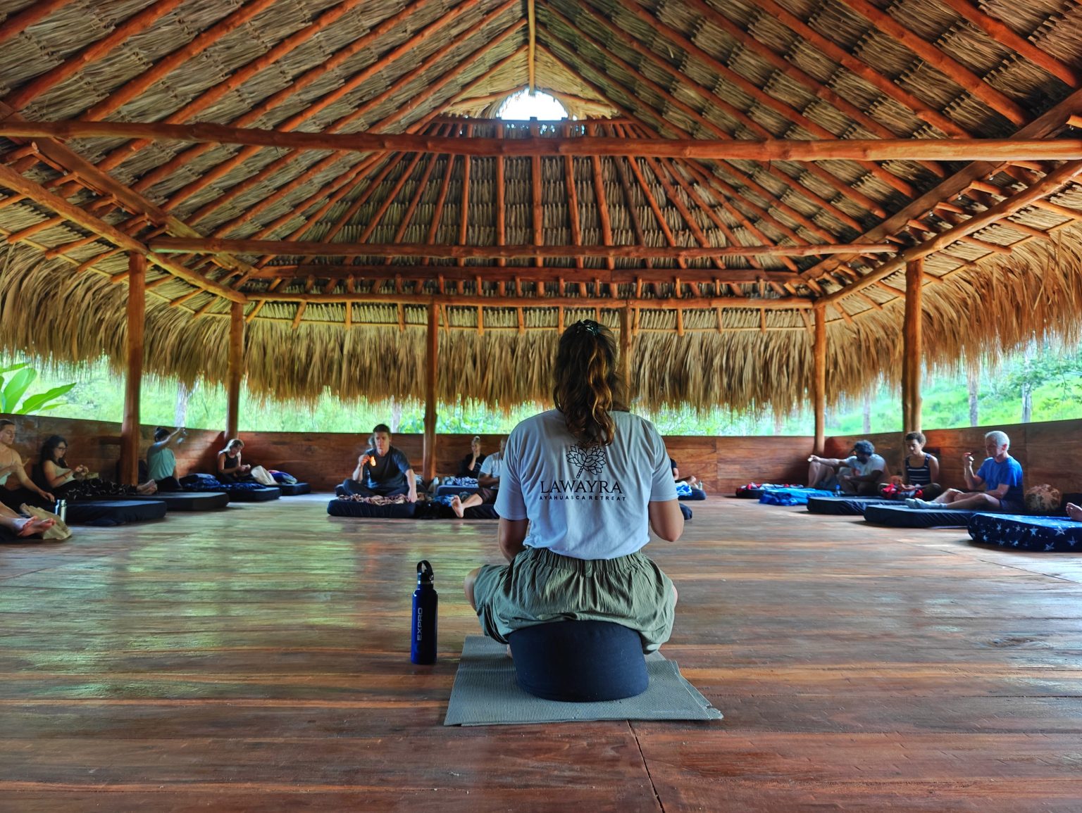 What is Iowaska: A Beginner’s Guide to This Spiritual Brew - Ayahuasca ...