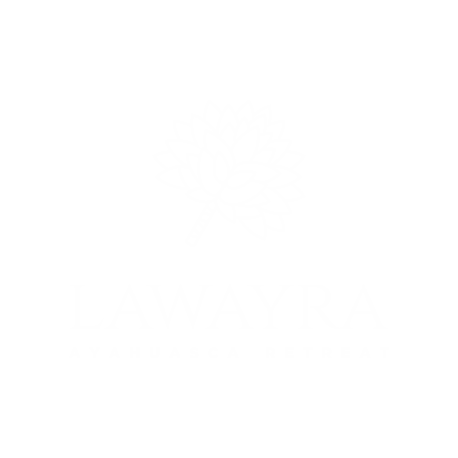 What is Iowaska: A Beginner’s Guide to This Spiritual Brew - Ayahuasca ...